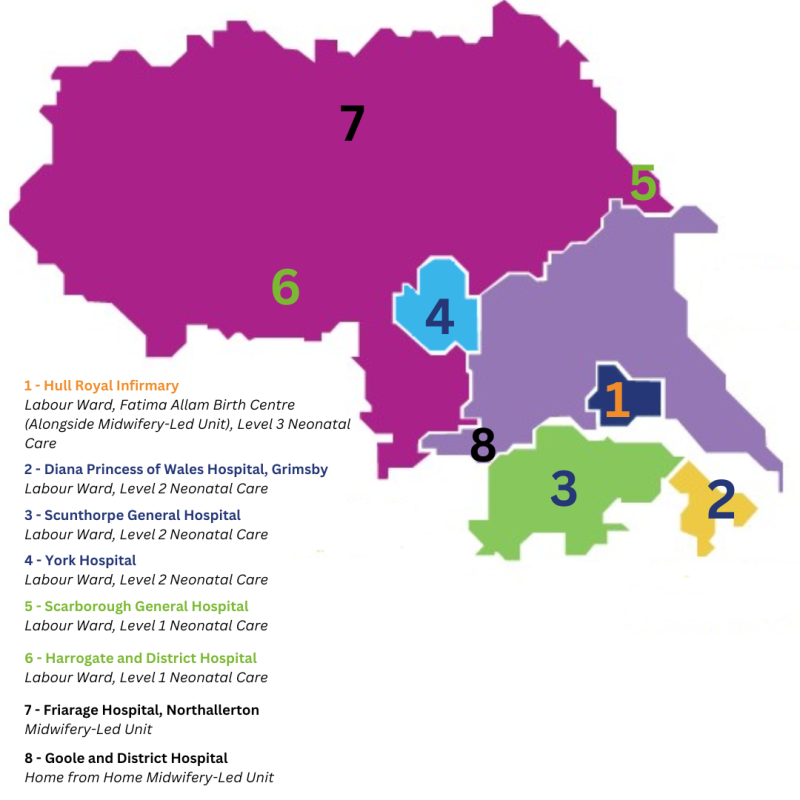 Local Maternity System - Home Local Maternity System - Home